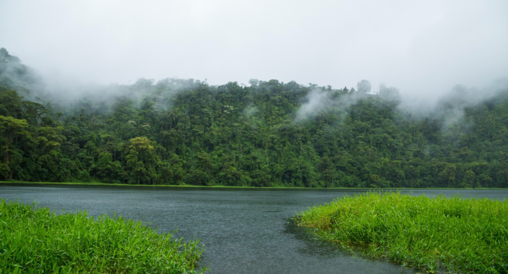 Top 10 Places To Visit In India During Monsoon | United Netizens